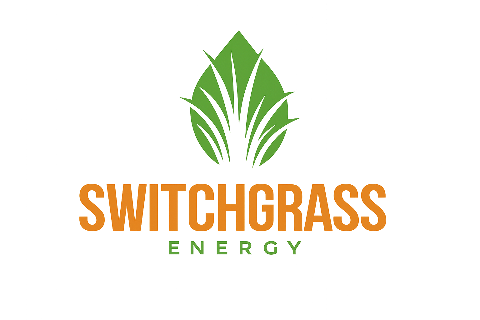 Switchgrass E&P